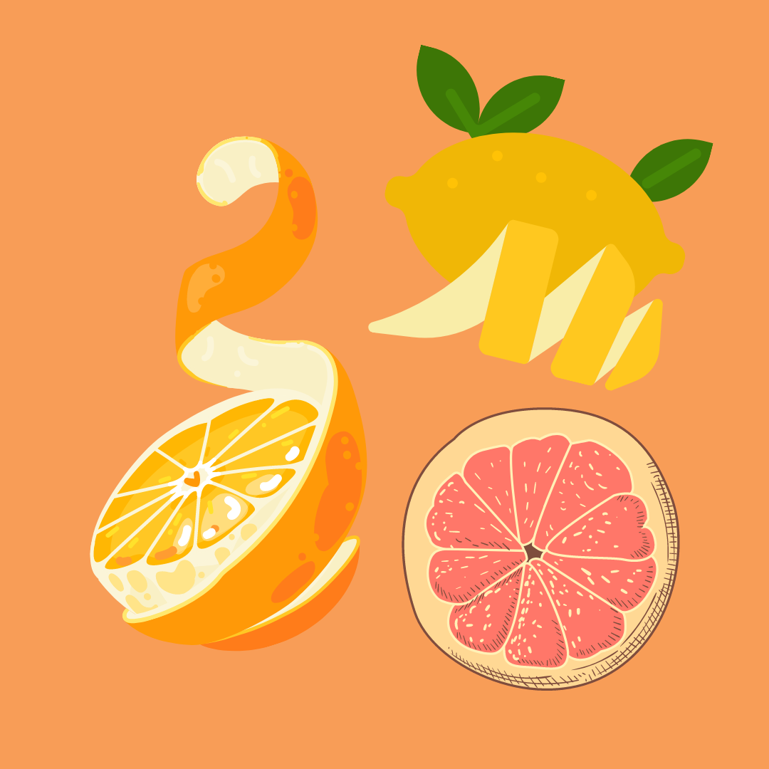 Wine Words: Zesty – Steph Wines